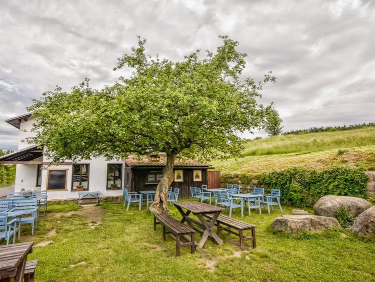 Apple tree near Lidmans – Tree of the year