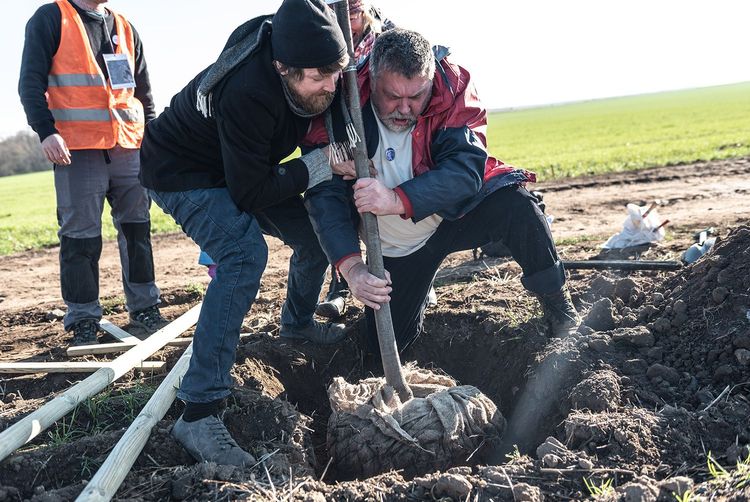 Planting our future - 10,000,000 trees in the Czech Republic! – Tree of ...