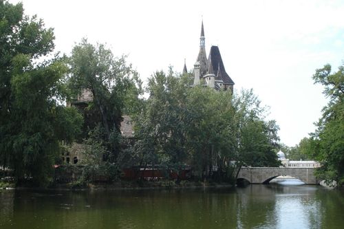 Ancient Trees in Budapest City Park in Peril – Tree of the year