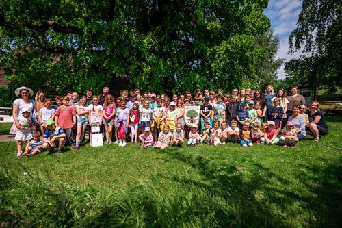 The Singing Lime: A Tree That Carries Song, Shelter, and Memory – Tree ...