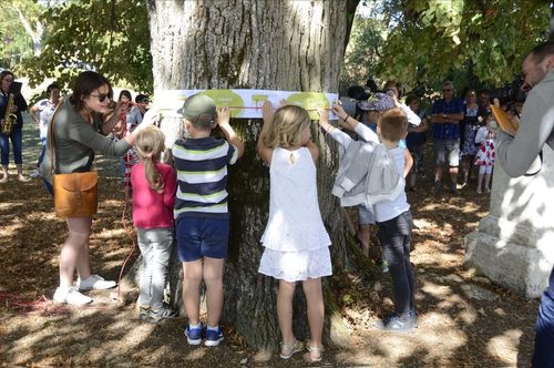 Why a Declaration of Tree Rights in France? – Tree of the year